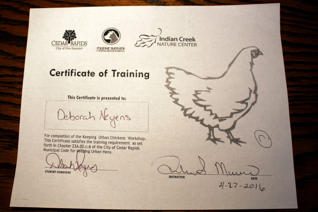 Training Requirements for Backyard Chicken Keepers: A New Trend ...